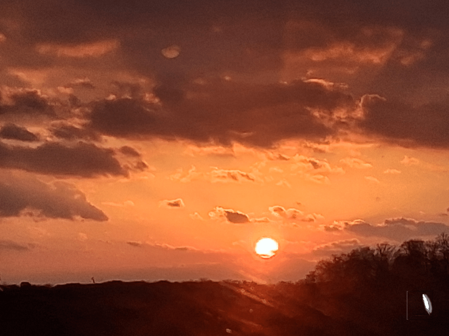 The Bittersweet Promise of Winter – Diary of a Flopping Fish